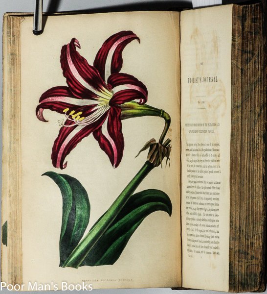 FLORICULTURALIST COMPRISING ESSAYS ON THE HISTORY, GROWTH AND ...